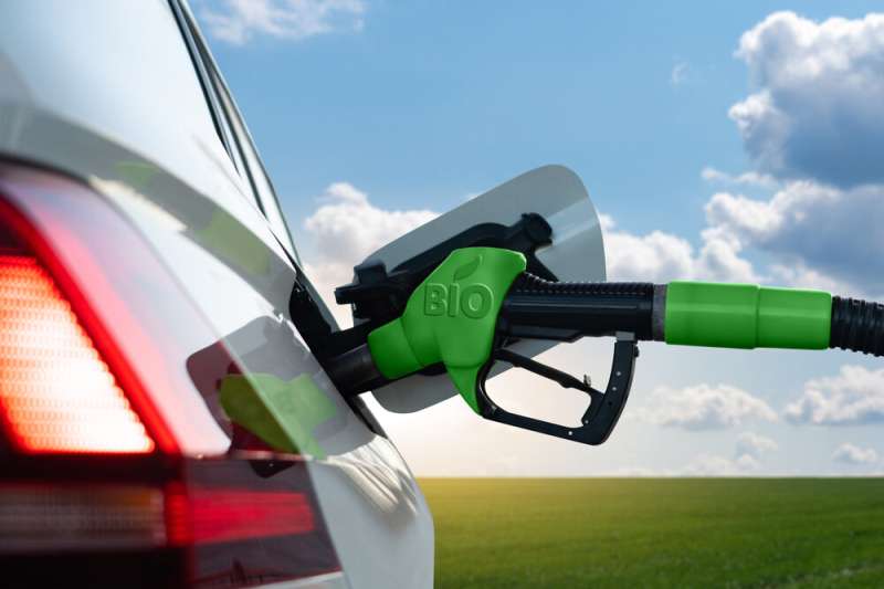Scientists create a new catalyst for ‘green’ biodiesel