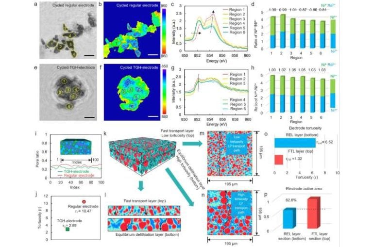 Tortuosity gradient transport paths enable high-electrochem-active ...